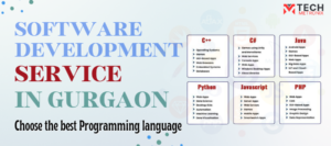 Software & Website Development Company in Gurgaon India