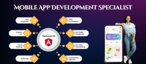 Software & Website Development Company in Gurgaon India