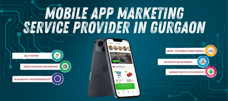 Software & Website Development Company in Gurgaon India