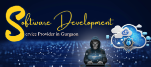 Software & Website Development Company in Gurgaon India