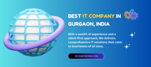Software & Website Development Company in Gurgaon India
